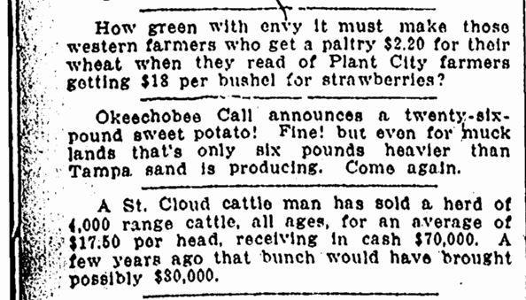 Old Okeechobee Newspaper Articles